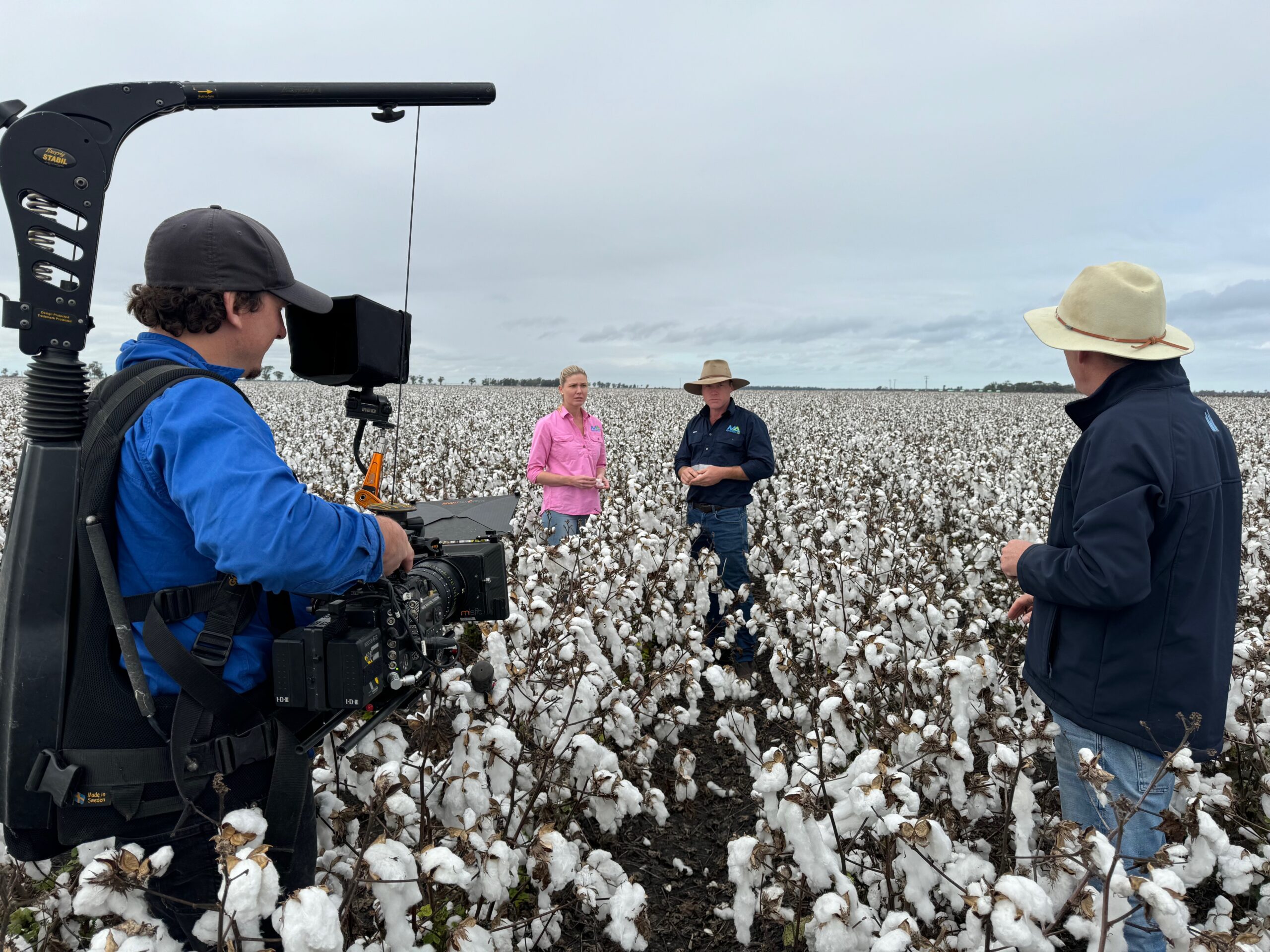 Case Studies - Cussons Media